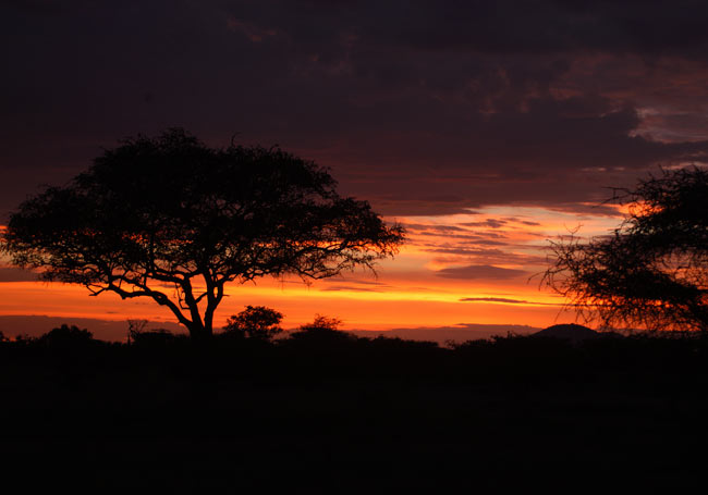 恩戈羅恩戈羅自然保護區 (Ngorongoro Conservation Area) – 環球傳騎 Tour De World